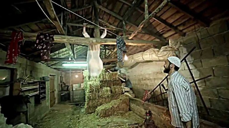 Dabbe: The Possession Review - MASSES