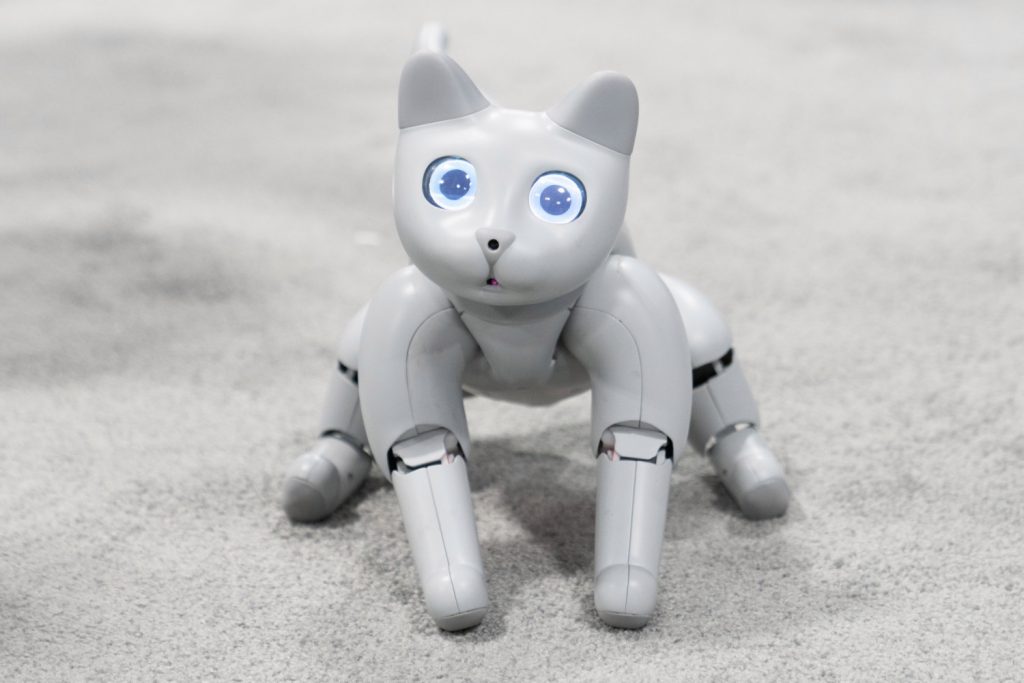 Meet The MarsCat, A Robot That Does Whatever The Hell It Wants - MASSES